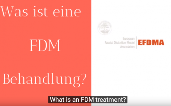 What's FDM? - EFDMA | FDM - Europe